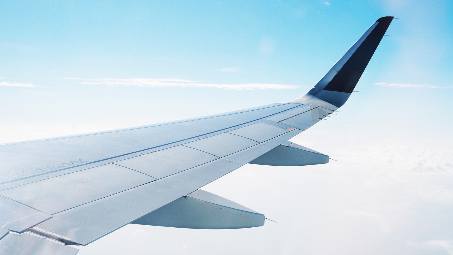 How Do Planes Fly? The Basics of Flight Dynamics - turbli